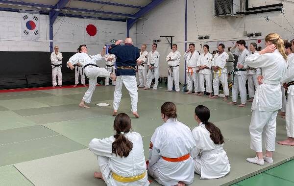 Retour sur le stage de Nihon Taï Jitsu FFKaraté à Bonsecours ...